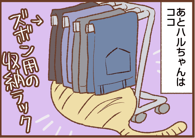 【吉川さん家の猫事情】#110話 ネコの好きな場所（写真 5/8） - マンガ連載：吉川さん家の猫事情 - mimot.(ミモット)