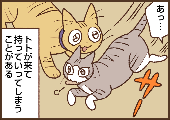 【吉川さん家の猫事情】#62話 アレが好きすぎる猫（写真 4/8） - マンガ連載：吉川さん家の猫事情 - mimot.(ミモット)