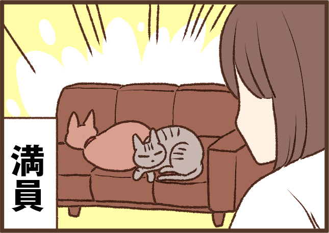 【吉川さん家の猫事情】#16話 猫がいると休憩も就寝も…（写真 2/9） - マンガ連載：吉川さん家の猫事情 - mimot.(ミモット)