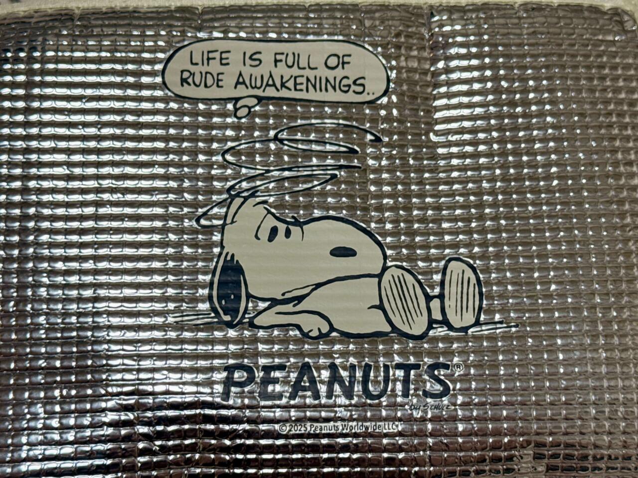【PEANUTS最新付録】大人かわいいスヌーピーの保冷バッグでたよ！使いやすい絶妙サイズ♪（写真 7/21） - mimot.(ミモット)