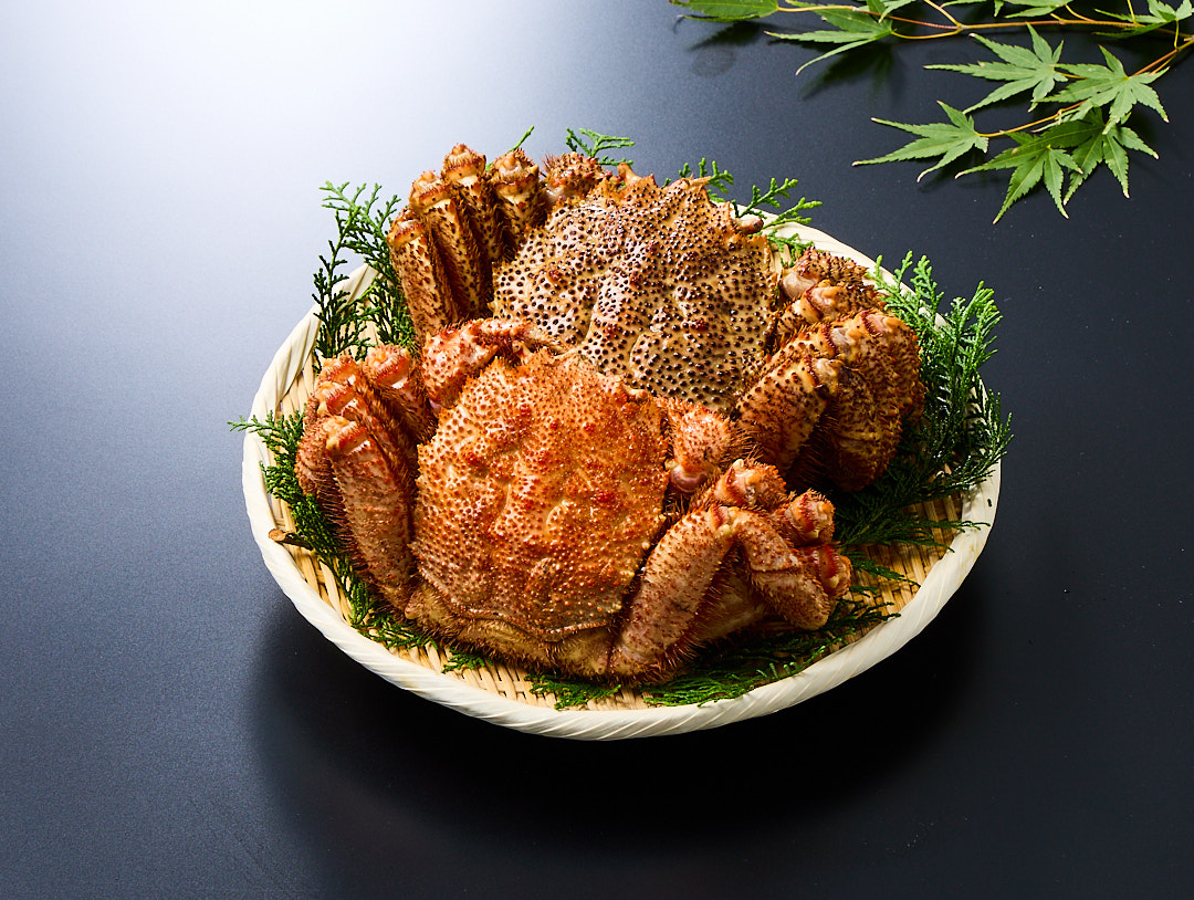 【イオン】Wpc.バッグやumbroボディバッグが半額！【ブラックフライデー】セール注目ラインナップ（写真 56/65） - mimot.(ミモット)