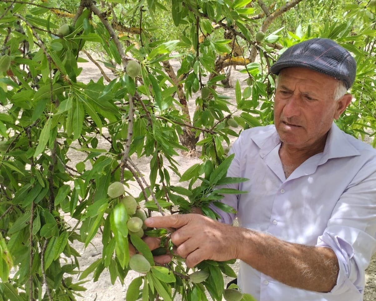 焼きたてが買えるよ！新宿に「フィナンシェ専門店」がオープン♪先着でトートバッグのプレゼントも（写真 20/20） - mimot.(ミモット)