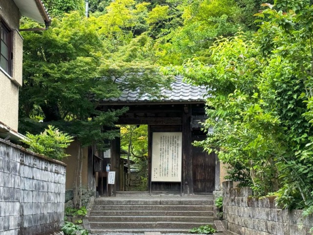 【そうだ、京都行こう】夏の京都旅におすすめの「癒しスポット」巡り♪（写真 1/44） - mimot.(ミモット)