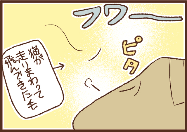 【吉川さん家の猫事情】#38話 猫がいると超大変！（写真 8/9） - マンガ連載：吉川さん家の猫事情 - mimot.(ミモット)