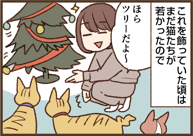 【吉川さん家の猫事情】#72話 クリスマスに大興奮！？（1/2） - マンガ連載：吉川さん家の猫事情 - mimot.(ミモット)