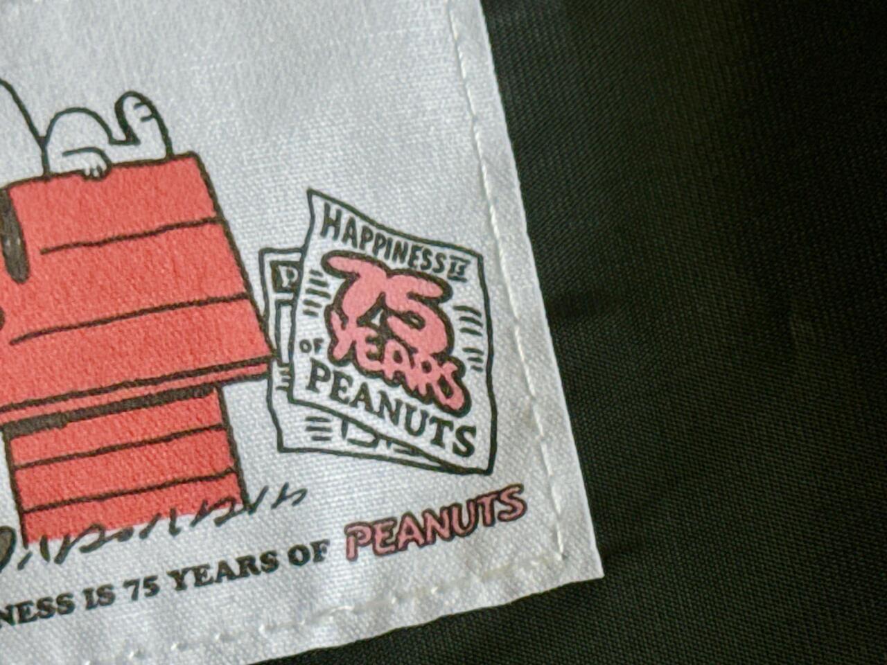 【スヌーピー最新付録】保冷機能付き♪2Lペットが3本入る大容量トートバッグでるよ！（写真 8/25） - mimot.(ミモット)