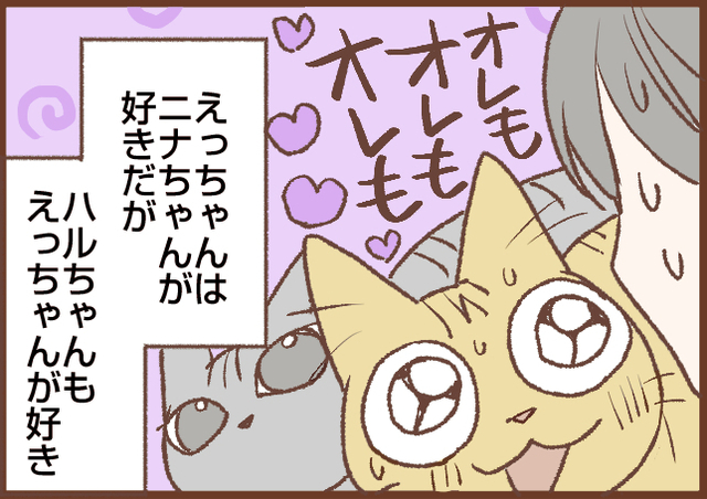 【吉川さん家の猫事情】#117話 片思い？三角関係？（1/2） - マンガ連載：吉川さん家の猫事情 - mimot.(ミモット)