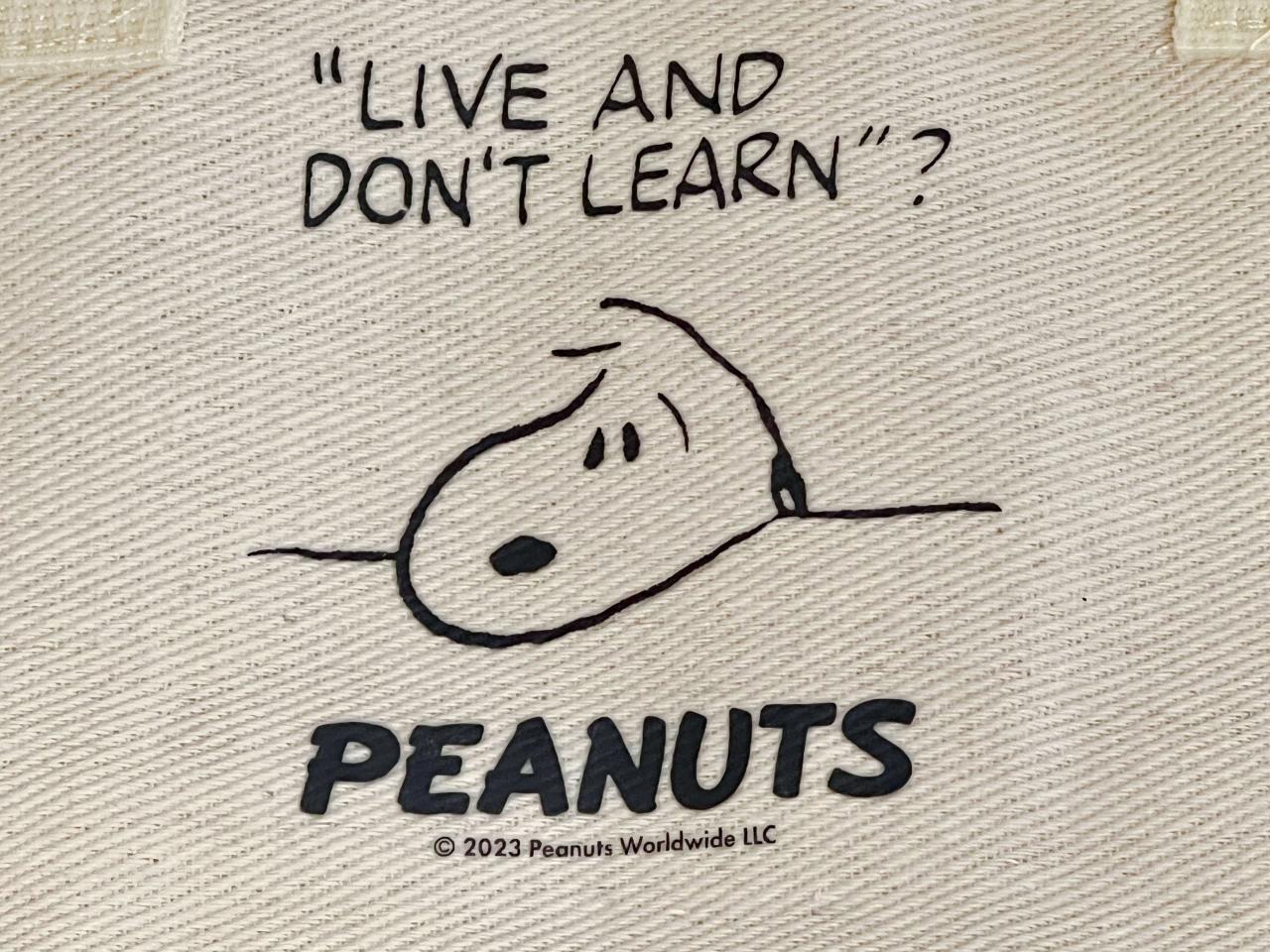 【PEANUTS×雑誌付録】スヌーピーの大人可愛い「ランチトート」バッグの口にはうれしい仕掛けも♪（写真 7/26） - mimot.(ミモット)