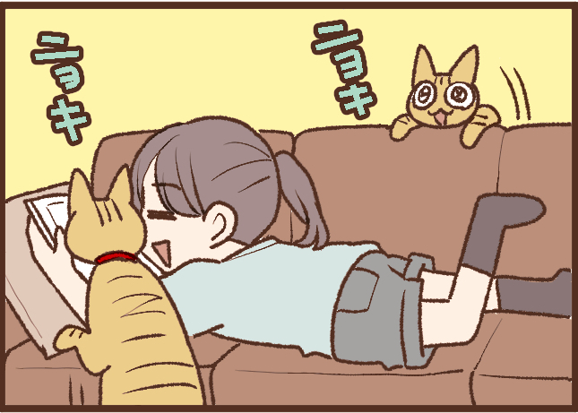 【吉川さん家の猫事情】#87話 春はネコまみれ！（1/2） - マンガ連載：吉川さん家の猫事情 - mimot.(ミモット)