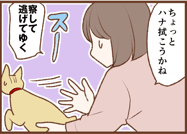 【吉川さん家の猫事情】#114話 長生きしたら猫又！？（写真 2/8） - マンガ連載：吉川さん家の猫事情 - mimot.(ミモット)