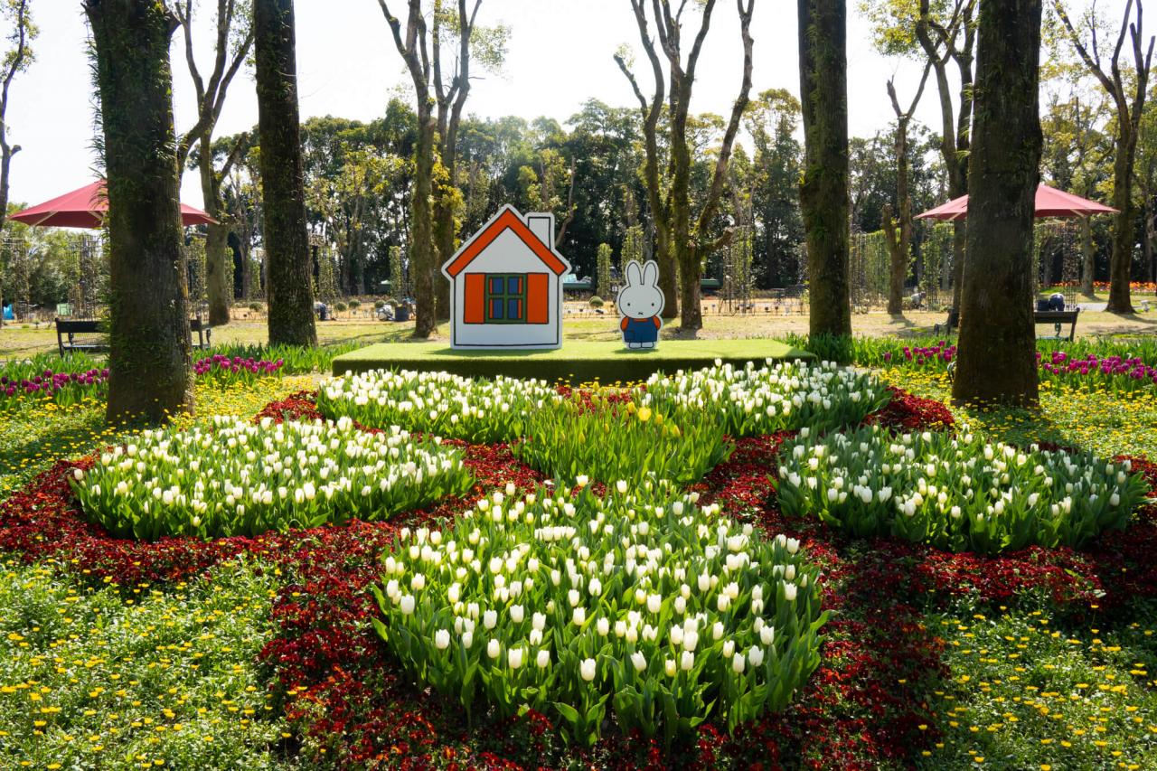 【ミッフィー×ハウステンボス】春の限定グッズ＆映えスポット満載♪日本最大のミッフィーイベントをレポート（写真 36/119） - mimot.(ミモット)