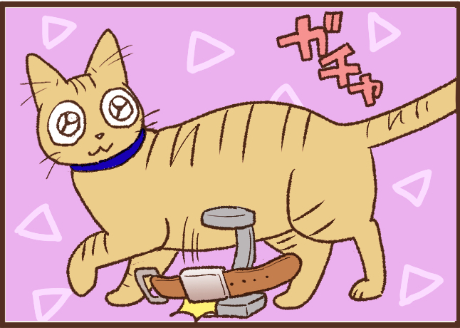 【吉川さん家の猫事情】#89話 悪気はないよ…（1/2） - マンガ連載：吉川さん家の猫事情 - mimot.(ミモット)