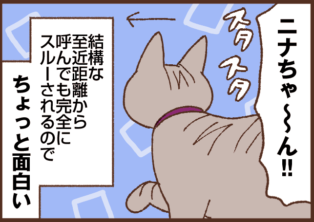 【吉川さん家の猫事情】#107話 おっとりおばあちゃん（写真 4/8） - mimot.(ミモット)