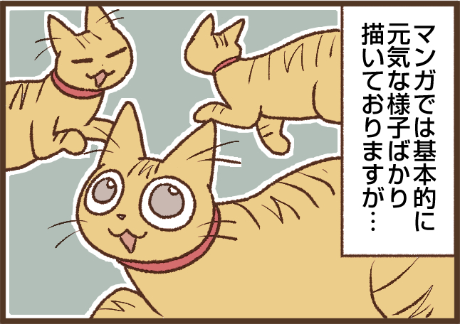 【吉川さん家の猫事情】#80話 ネコも18才になると…（写真 1/8） - マンガ連載：吉川さん家の猫事情 - mimot.(ミモット)