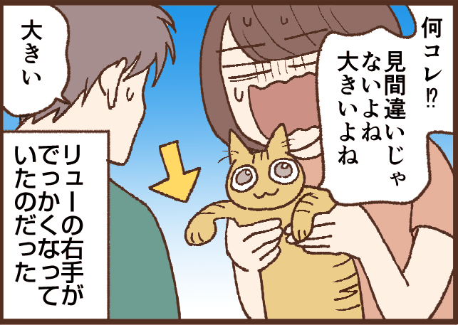 【吉川さん家の猫事情】#105話 知らないコトがまだある…（写真 4/8） - マンガ連載：吉川さん家の猫事情 - mimot.(ミモット)