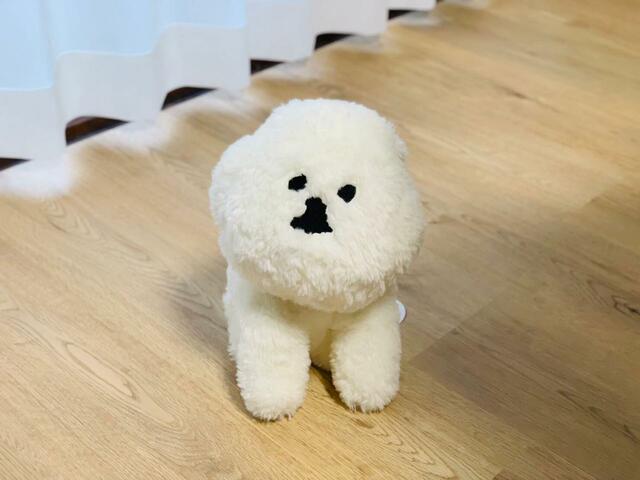 SNSで話題！つぶらな瞳のMAMBOに癒される…日常のあらゆる場面で使えるグッズ4選（1/4） - mimot.(ミモット)