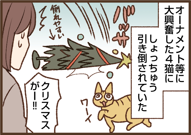 【吉川さん家の猫事情】#72話 クリスマスに大興奮！？（写真 4/8） - マンガ連載：吉川さん家の猫事情 - mimot.(ミモット)