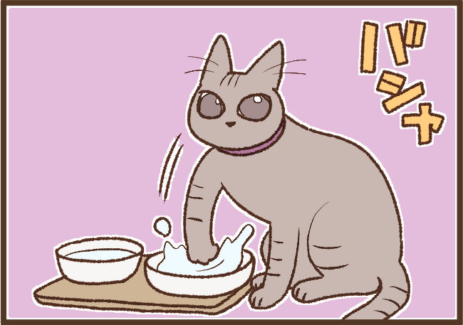 【吉川さん家の猫事情】#61話 キッチンの横に“増設”したら…（写真 6/8） - マンガ連載：吉川さん家の猫事情 - mimot.(ミモット)