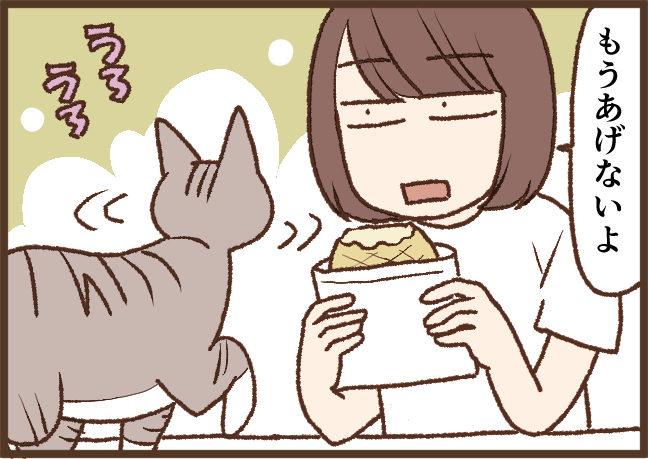 【吉川さん家の猫事情】#34話 食べるの？食べないの？（写真 3/9） - マンガ連載：吉川さん家の猫事情 - mimot.(ミモット)