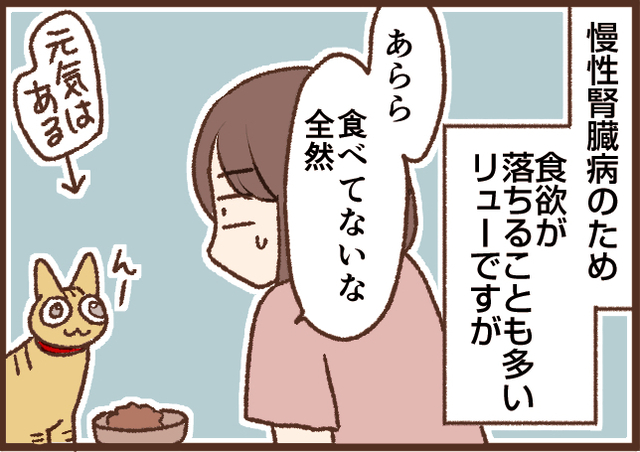 【吉川さん家の猫事情】#95話 食欲が落ちると…（1/2） - マンガ連載：吉川さん家の猫事情 - mimot.(ミモット)