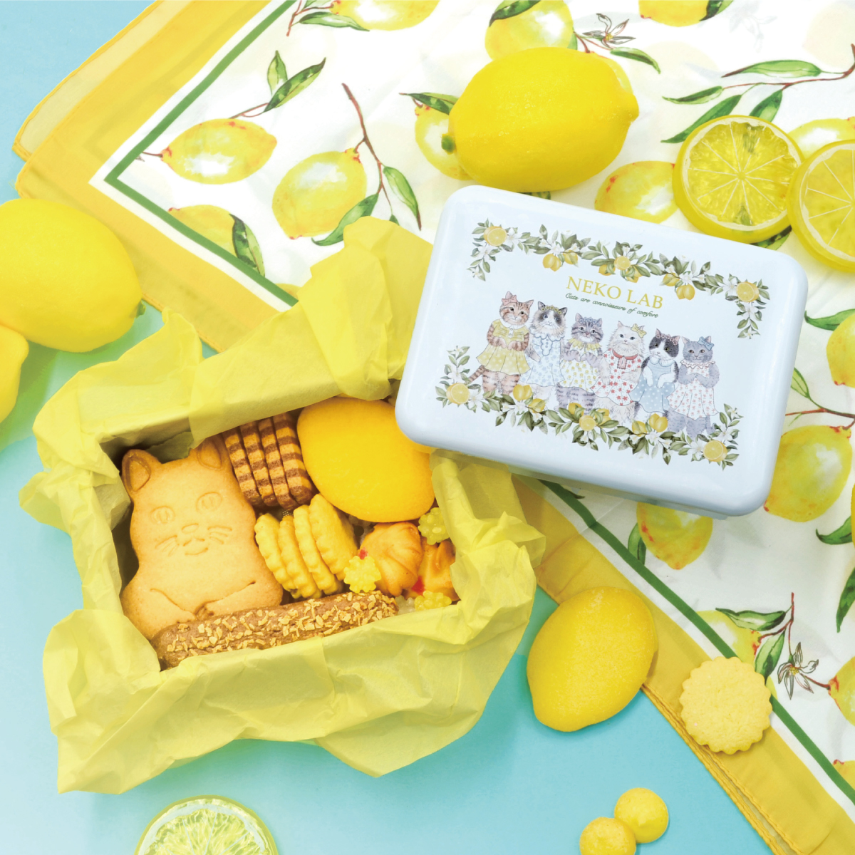 【猫好きさんへ】夏限定のネコ×レモンのクッキー缶が出るよ！ふたを開けると愛らしいねこさんが♪（写真 5/8） - mimot.(ミモット)