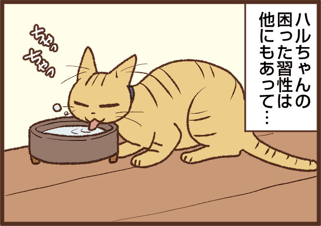【吉川さん家の猫事情】#19話 ハルちゃんの困った癖（写真 5/9） - マンガ連載：吉川さん家の猫事情 - mimot.(ミモット)