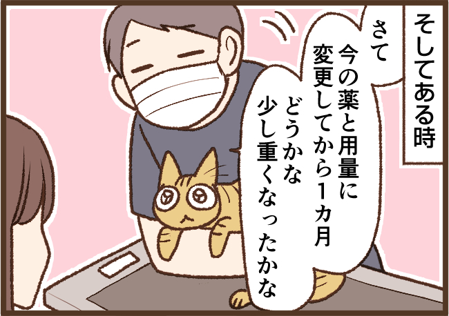 【吉川さん家の猫事情】#82話 先生もびっくり！？（写真 3/8） - マンガ連載：吉川さん家の猫事情 - mimot.(ミモット)