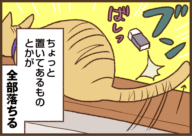 【吉川さん家の猫事情】#46話 ハルちゃんの“しっぽ”は特別！（写真 5/9） - マンガ連載：吉川さん家の猫事情 - mimot.(ミモット)