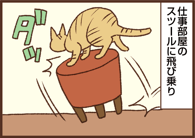 【吉川さん家の猫事情】#19話 ハルちゃんの困った癖（写真 2/9） - マンガ連載：吉川さん家の猫事情 - mimot.(ミモット)