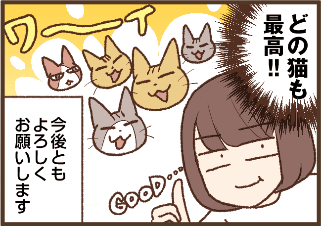 【吉川さん家の猫事情】#45話 ニナちゃんの出番が少ないワケ（写真 9/9） - マンガ連載：吉川さん家の猫事情 - mimot.(ミモット)