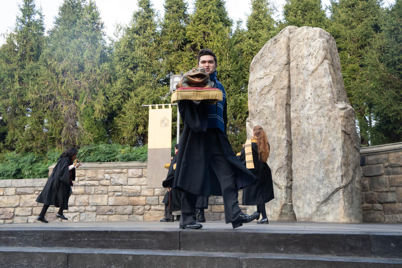 【ハリー・ポッター×USJ】5年ぶりのクリスマスショー開幕！限定グッズも見逃せない♪（写真 23/174） - mimot.(ミモット)