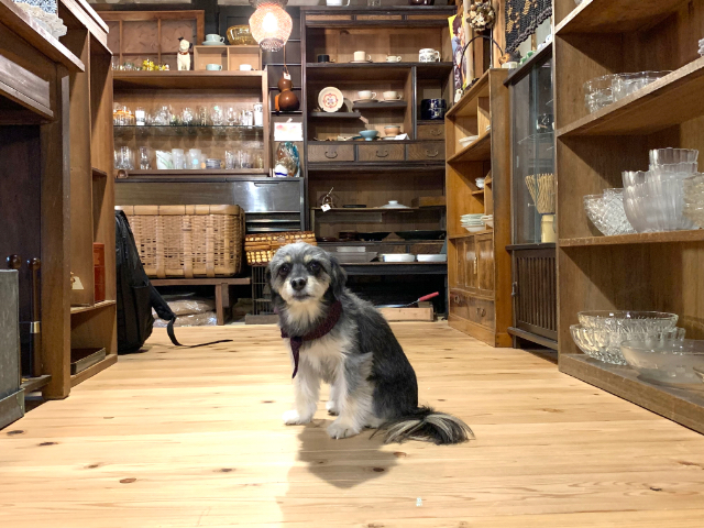 【奈良県】“日本の始まり”といわれる地「橿原市」癒し＆パワースポットを巡る旅（写真 26/72） - mimot.(ミモット)