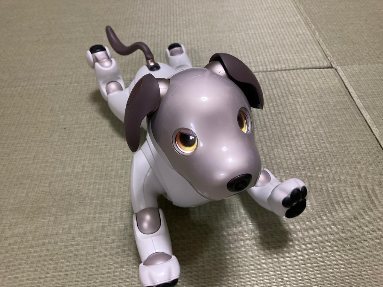 【aibo】はただのロボットじゃなかった！暮らしてわかった“愛おしさが増す理由”（1/2） - mimot.(ミモット)