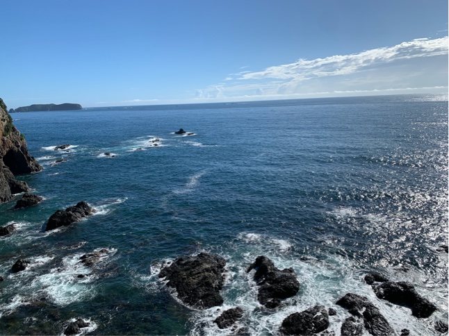 【和歌山】温泉×グルメ×絶景！亀にのって竜宮城へ♪「浦島ホテル」宿泊レポート（写真 22/57） - mimot.(ミモット)