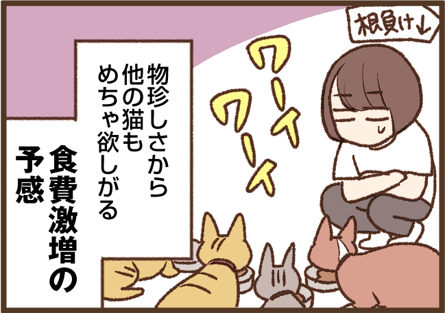 【吉川さん家の猫事情】#52話 シニア猫リューの気になる数値…（写真 9/9） - マンガ連載：吉川さん家の猫事情 - mimot.(ミモット)