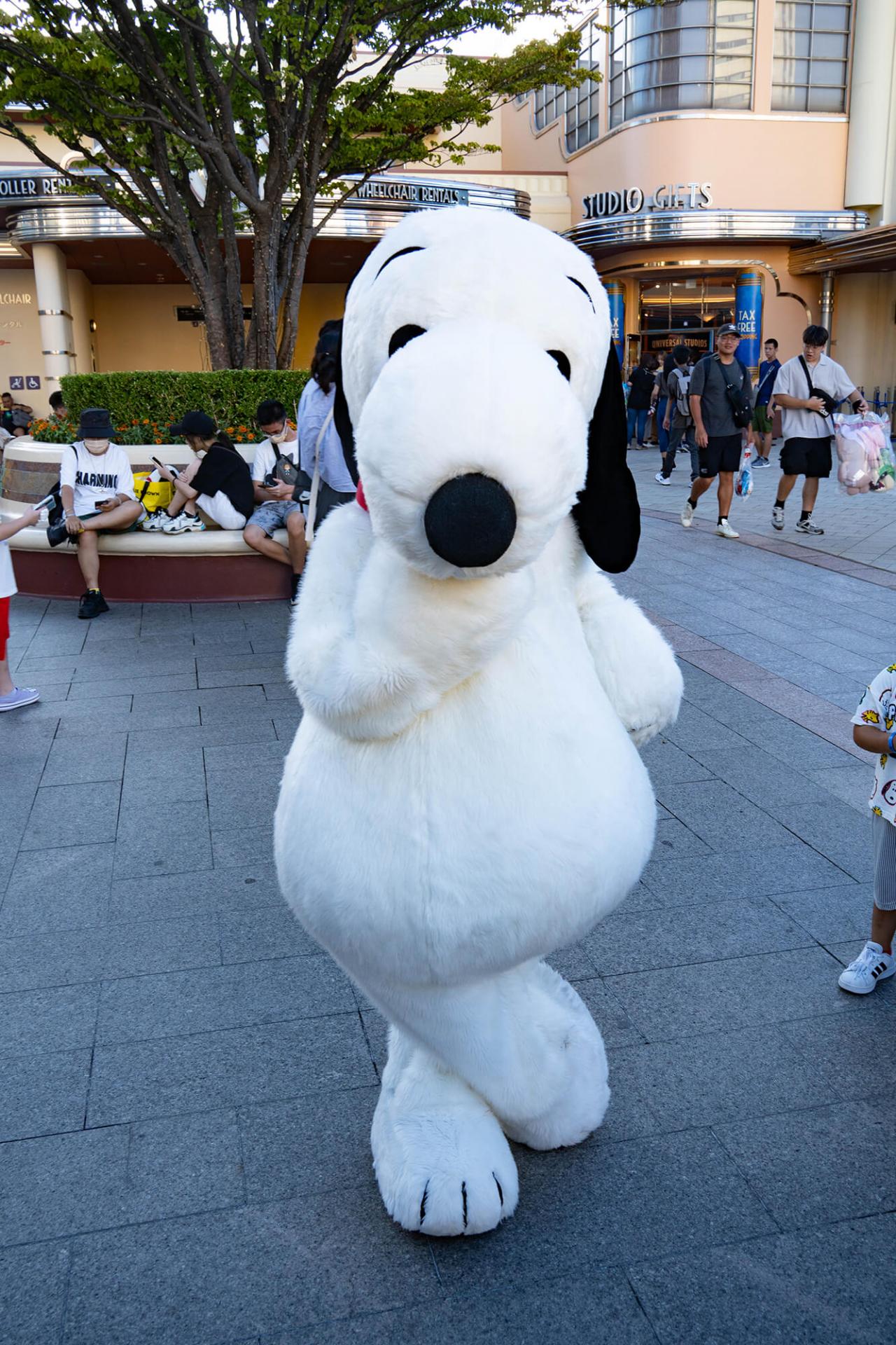 【USJ】「スヌーピー大満喫プラン」保存版まとめ！パレード＆グリ＆アトラクションで大満足♪（写真 3/93） - Medery ...