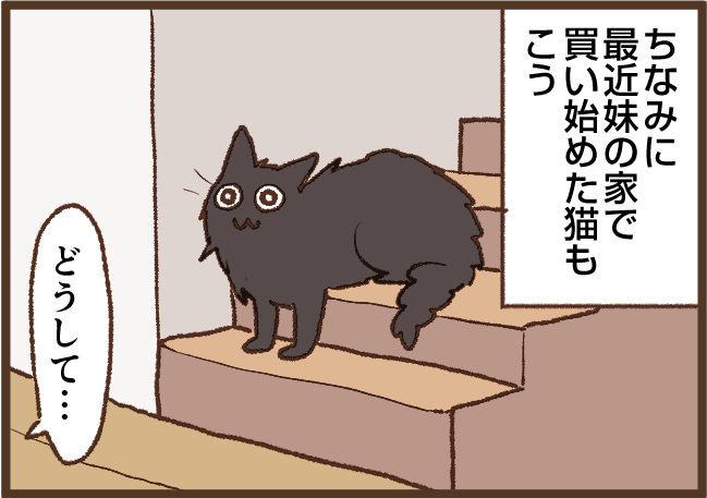 【吉川さん家の猫事情】#59話 謎、深まる…（写真 9/9） - マンガ連載：吉川さん家の猫事情 - mimot.(ミモット)