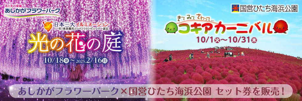 今年は『日本三大イルミネーション』のひとつを見に行こう♪全国1位のイルミが本当にスゴイ！（写真 19/19） - mimot.(ミモット)