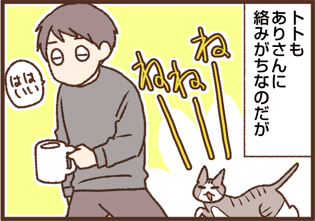 【吉川さん家の猫事情】#35話 猫に翻弄される夫（写真 5/9） - マンガ連載：吉川さん家の猫事情 - mimot.(ミモット)