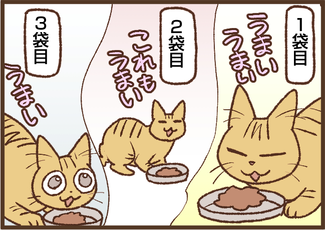 【吉川さん家の猫事情】#52話 シニア猫リューの気になる数値…（写真 4/9） - マンガ連載：吉川さん家の猫事情 - mimot.(ミモット)