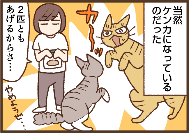 【吉川さん家の猫事情】#62話 アレが好きすぎる猫（写真 8/8） - マンガ連載：吉川さん家の猫事情 - mimot.(ミモット)
