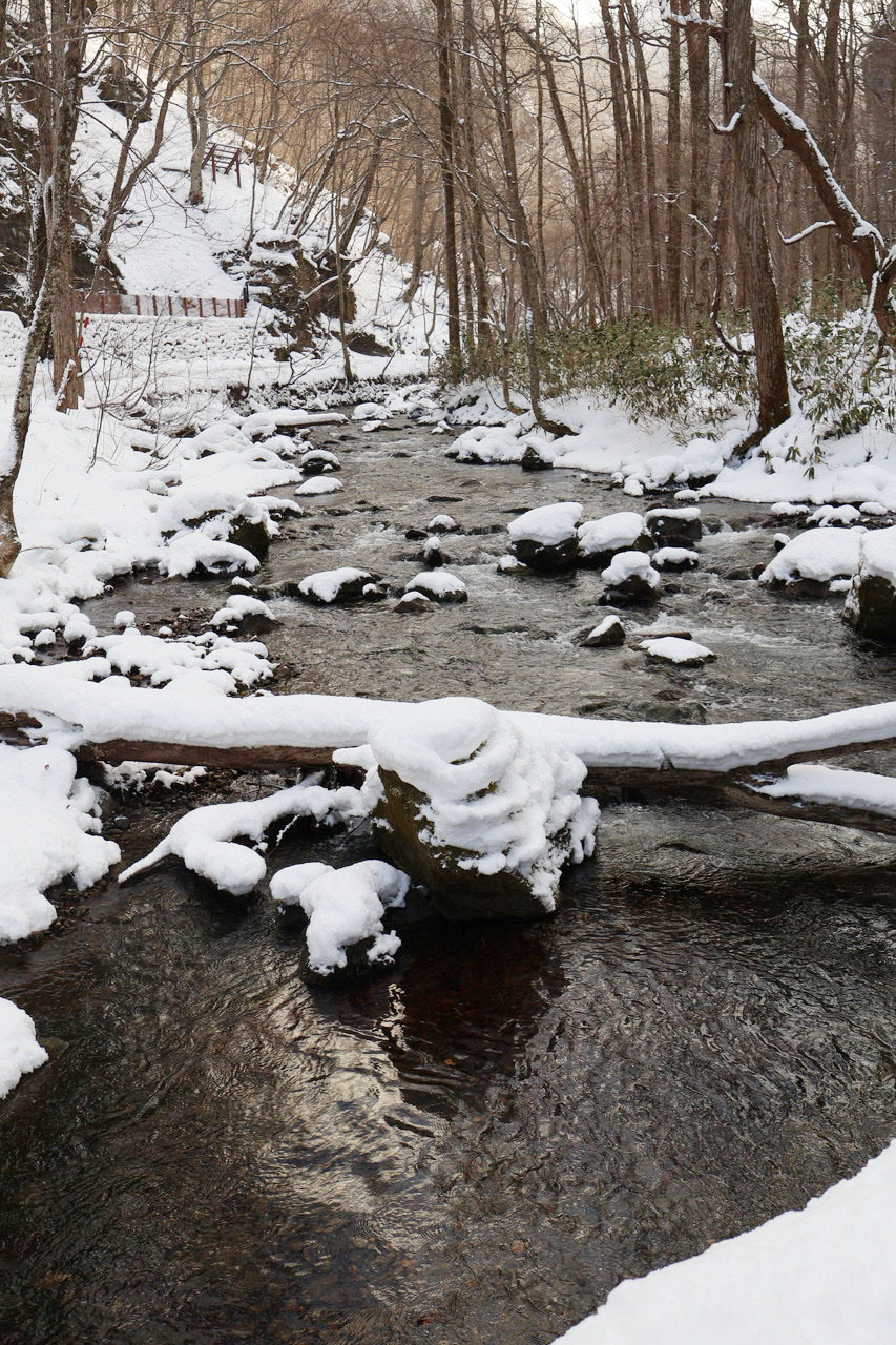こんな楽しみ方があった！青森で体験したい非日常な冬の旅【星野リゾート 奥入瀬渓流ホテル】（写真 13/81） - mimot.(ミモット)