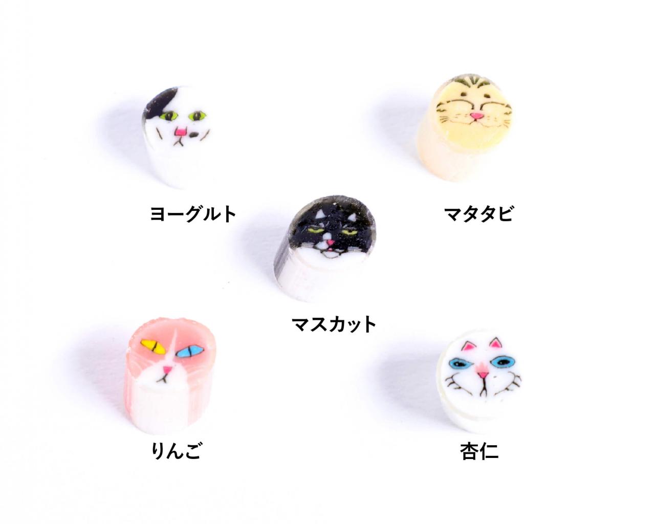 パパブブレから猫モチーフの可愛すぎるキャンディ登場！「肉球・マタタビ」も味で再現？！（写真 3/7） - mimot.(ミモット)