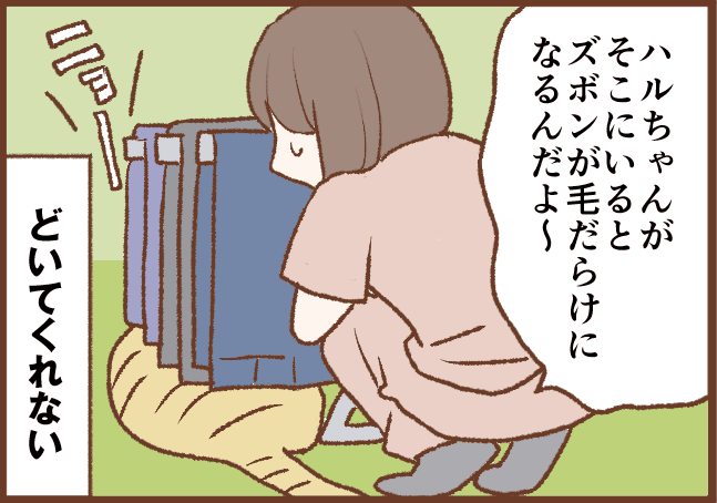 【吉川さん家の猫事情】#110話 ネコの好きな場所（写真 6/8） - マンガ連載：吉川さん家の猫事情 - mimot.(ミモット)