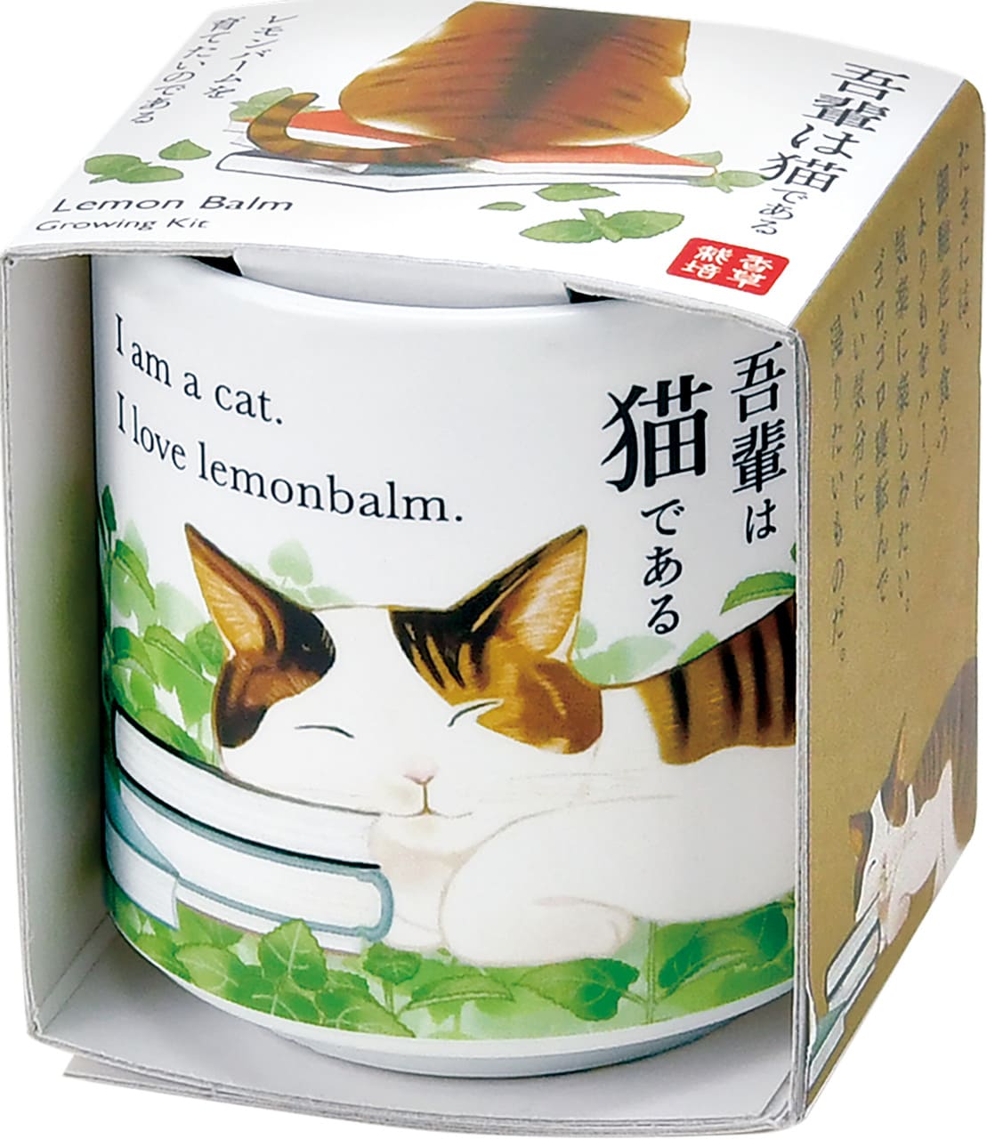 2月22日は『ねこの日』ユニークでかわいい「ねこまみれ」の栽培キットが爆誕♪（写真 9/13） - mimot.(ミモット)