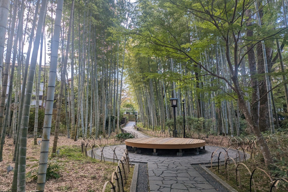 “推しロス”を癒やす温泉旅！「伊豆マリオットホテル修善寺」のユニークな宿泊プランを体験してみた♪（写真 33/39） - mimot.(ミモット)