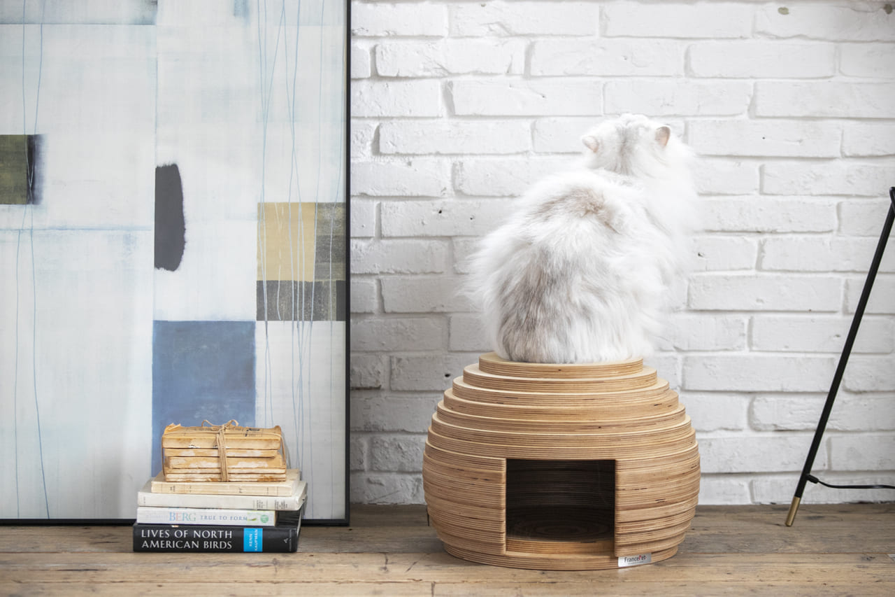 うちの子、かわいすぎる…！「フランスペット」のペット用家具がおしゃれで実用的（写真 41/81） - mimot.(ミモット)