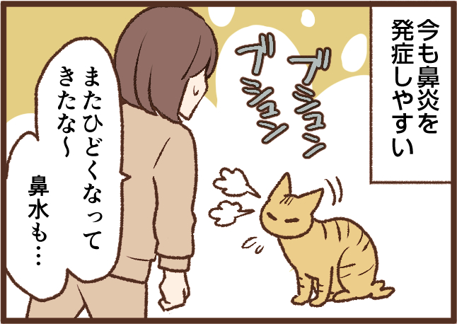 【吉川さん家の猫事情】#71話 ネコの鼻炎対策は大変！（写真 2/8） - マンガ連載：吉川さん家の猫事情 - mimot.(ミモット)