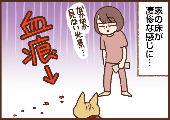 【吉川さん家の猫事情】#93話 大騒動の夜（写真 4/8） - マンガ連載：吉川さん家の猫事情 - mimot.(ミモット)