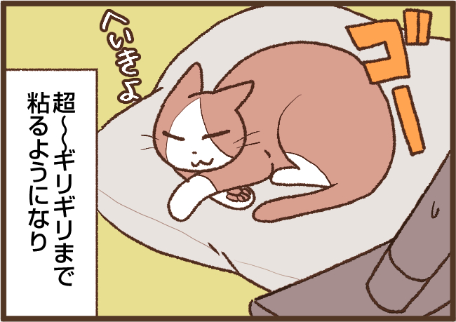 【吉川さん家の猫事情】#63話 掃除機あるある？（写真 6/8） - マンガ連載：吉川さん家の猫事情 - mimot.(ミモット)